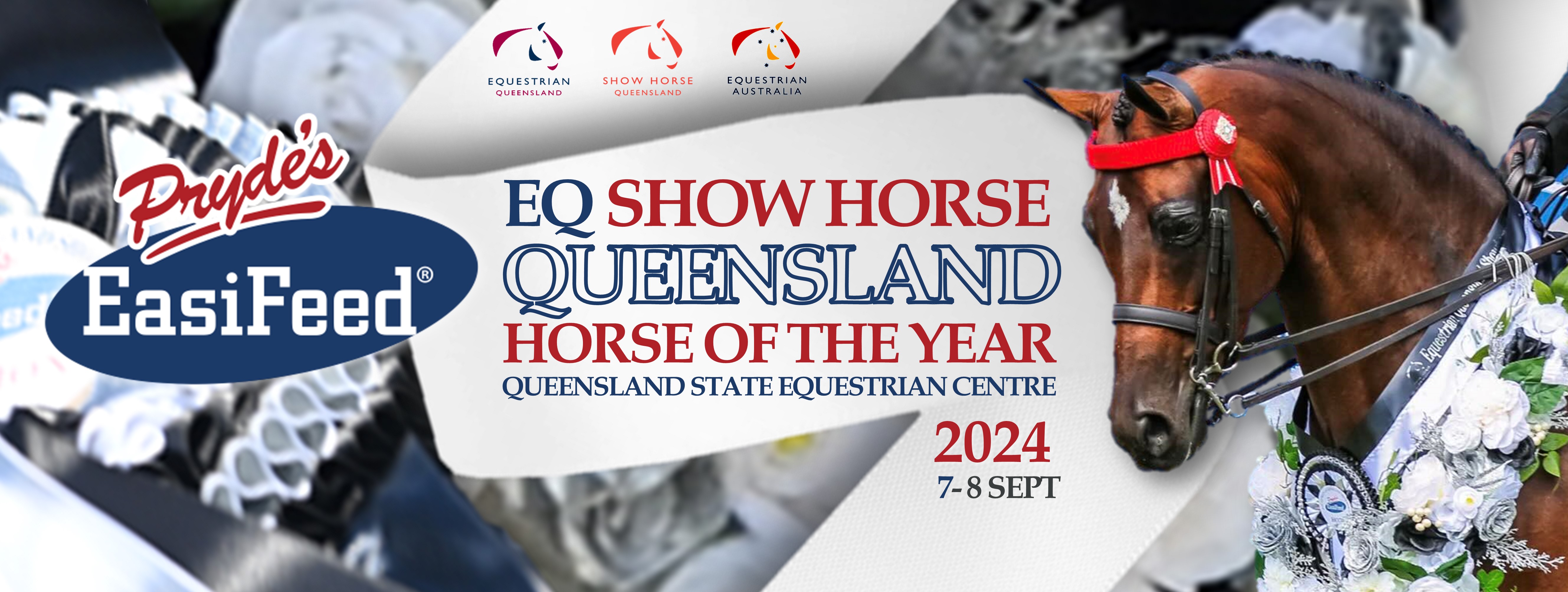 Oakey Show | Show Horse Queensland